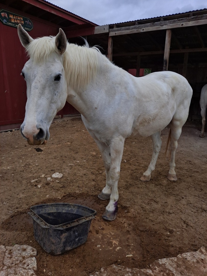 Ranch Map – Mayan Dude Ranch